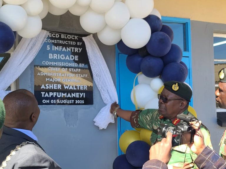 All Set for Heroes and Defence Forces Day Celebrations - Newsreel Zimbabwe